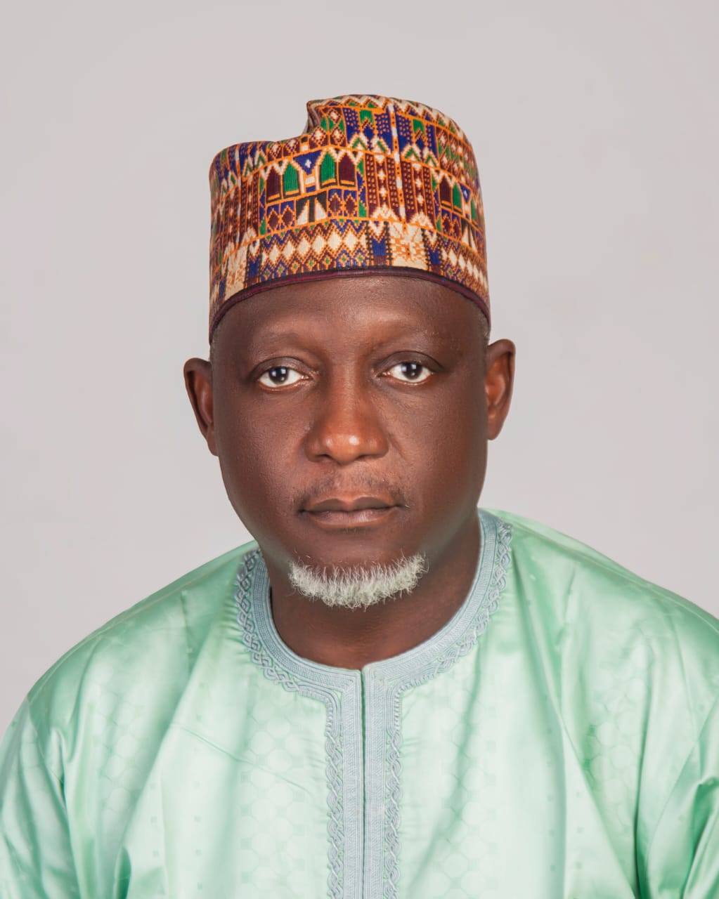 Isaac Balami University of Aeronautics and Management (IBUAM)